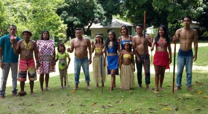 Eco Warao "baila" la cultura warao en Brasil - Radio Fe y Alegría Noticias