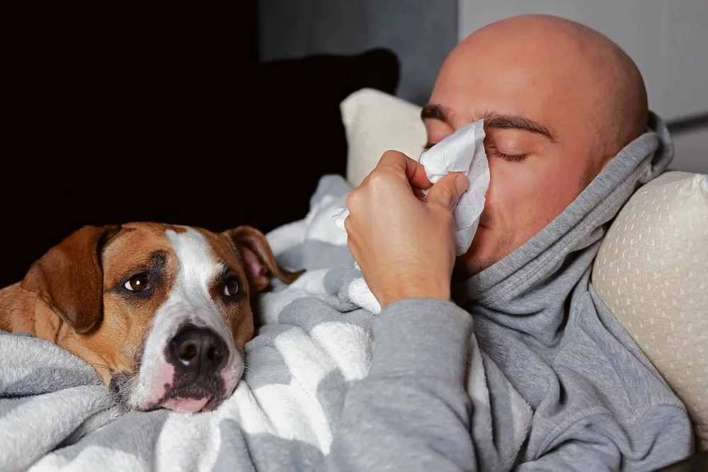 Veterinaria: 60 % de las enfermedades infecciosas humanas son ...