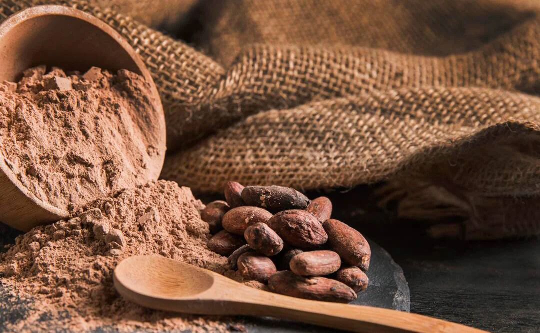 Mérida será el epicentro de la primera Rueda de Negocios Cacao 2025 ...